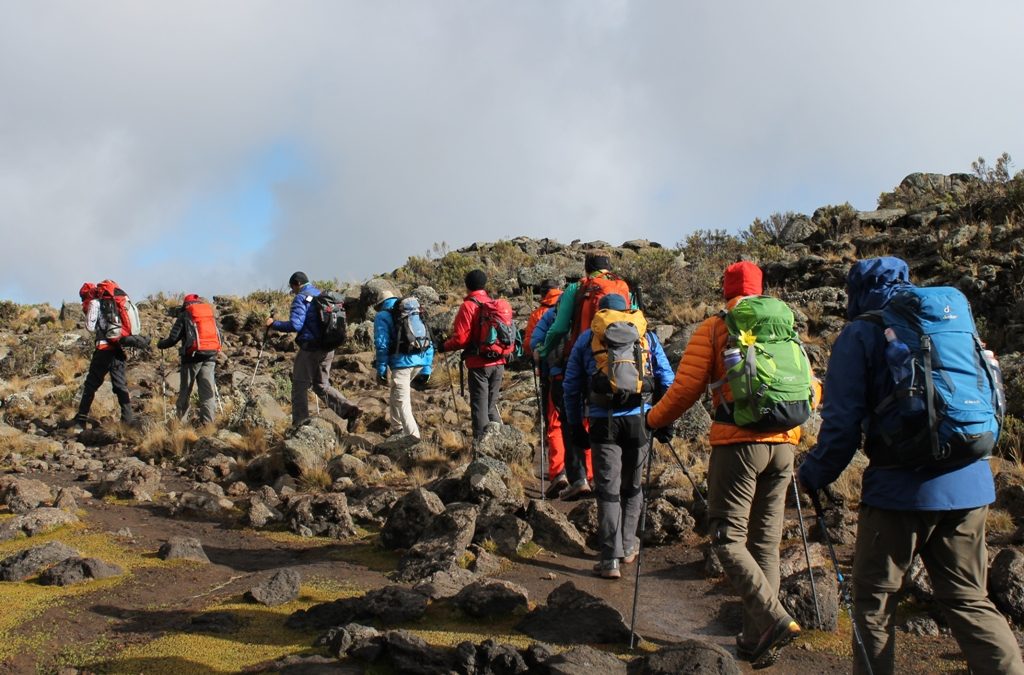 7 Days Kilimanjaro Machame Route Joining Group 2024-2025