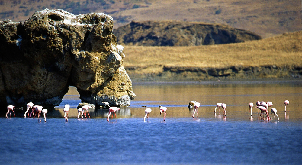 How to Get to Lake Natron